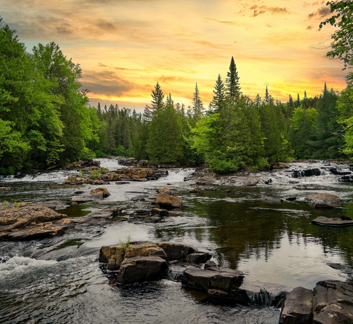 E-Book: Make your packaging count | Nefab